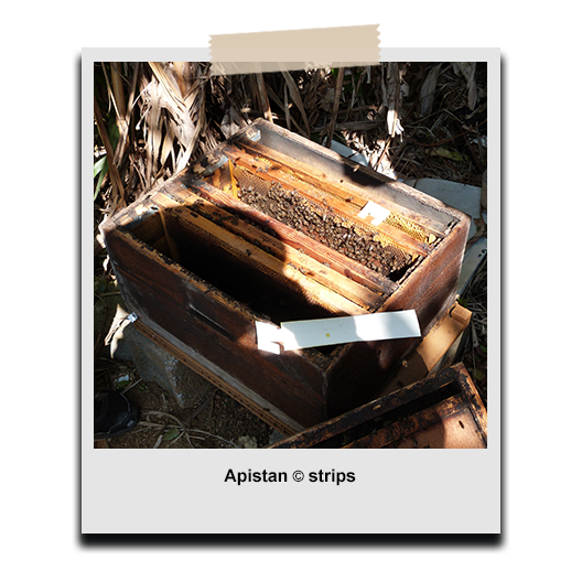 GDS Réunion - Apistan Strips - GDS Réunion