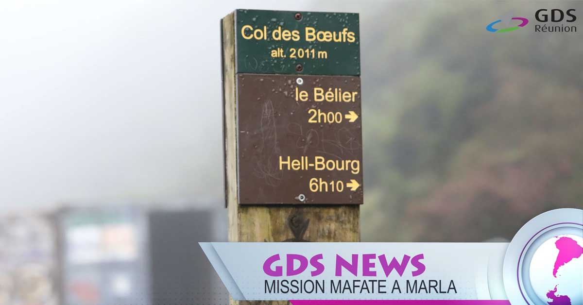 vignette-FB - GDS Réunion